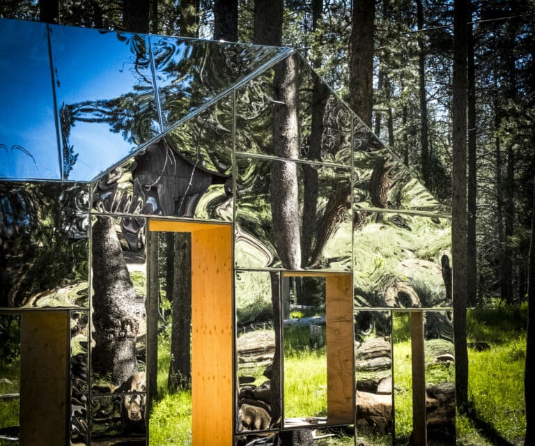 ArtSciConverge at Sagehen Creek Field Station