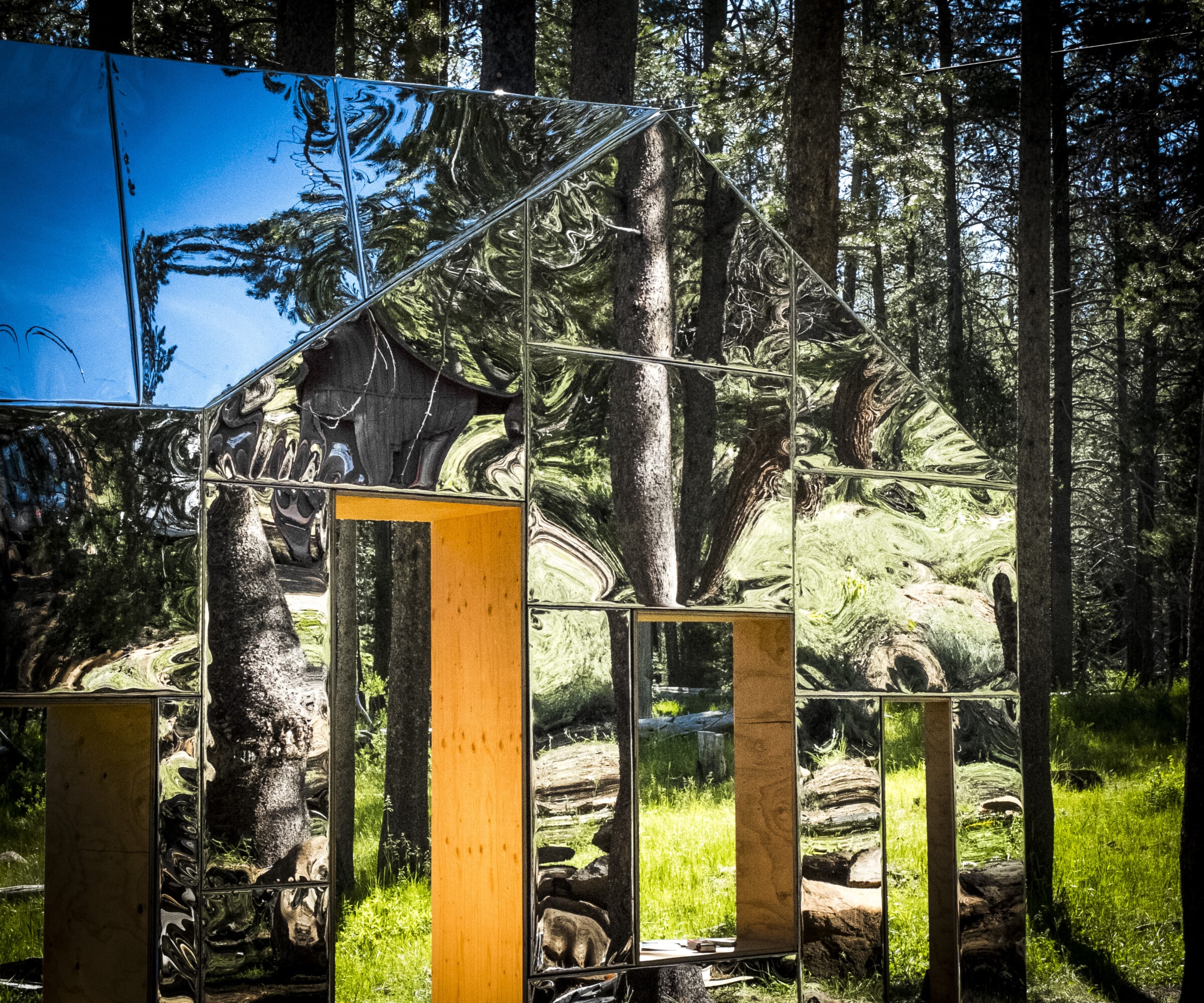 ArtSciConverge at Sagehen Creek Field Station