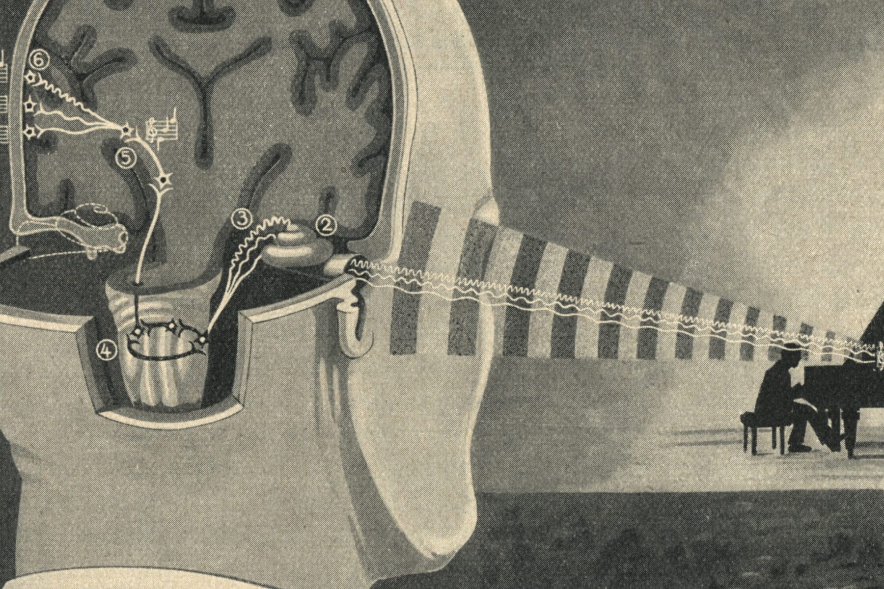 Issues in Science and Technology