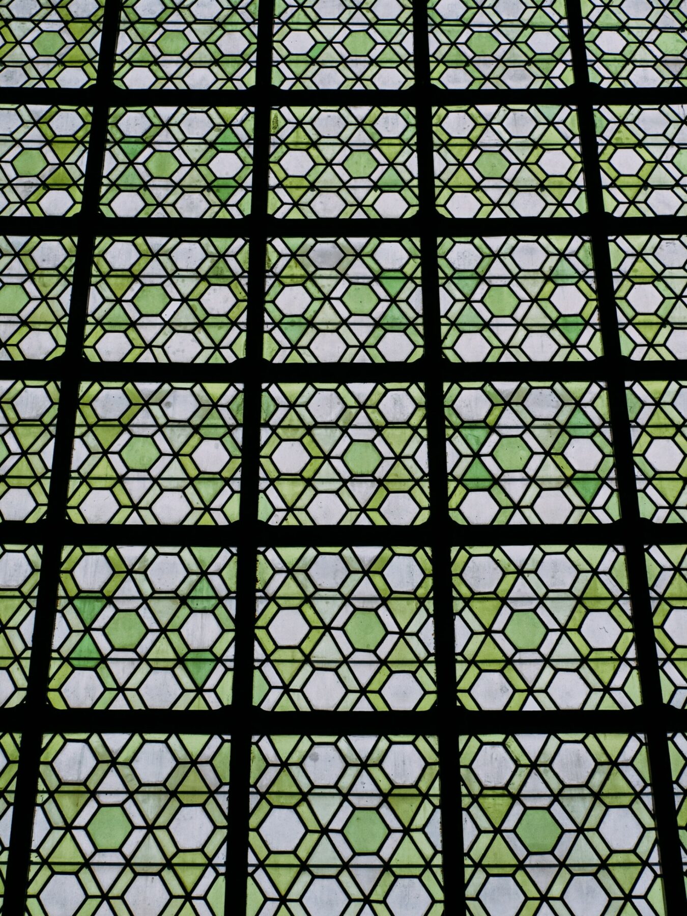 Trust in Science Is Not the Problem