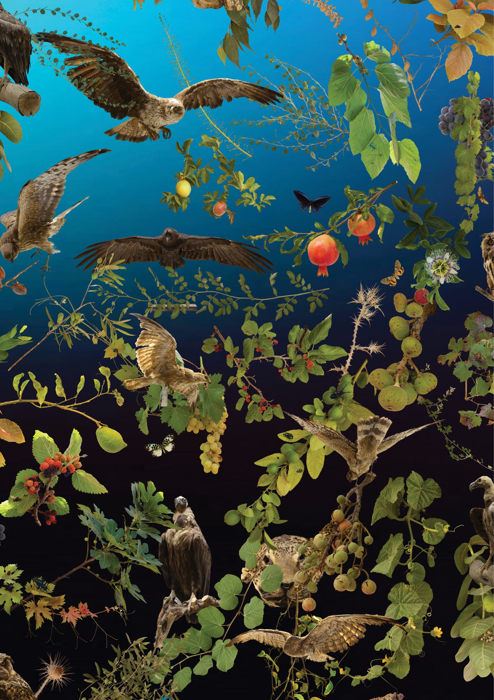 The Subversive Beauty of Fallen Fruit | Gallery