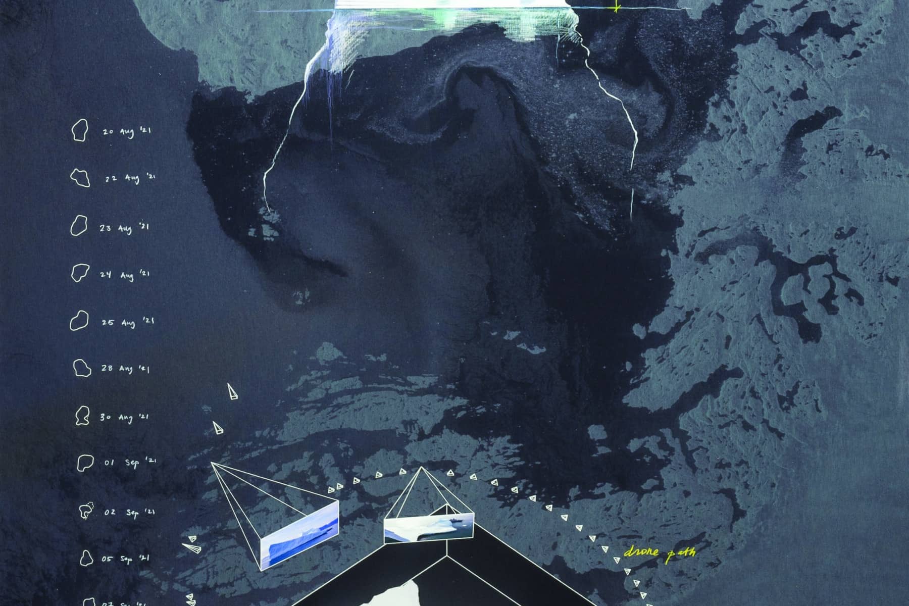 Issues in Science and Technology