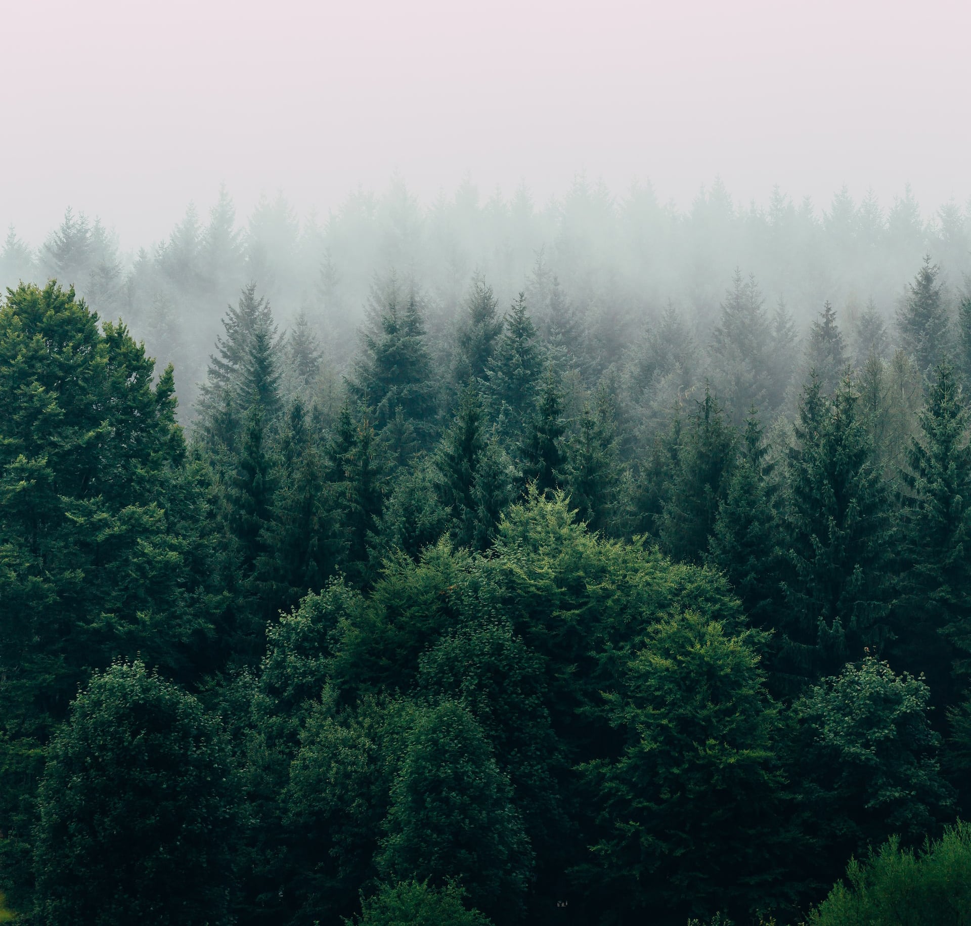 What Is the Big Picture in Carbon Removal Research?