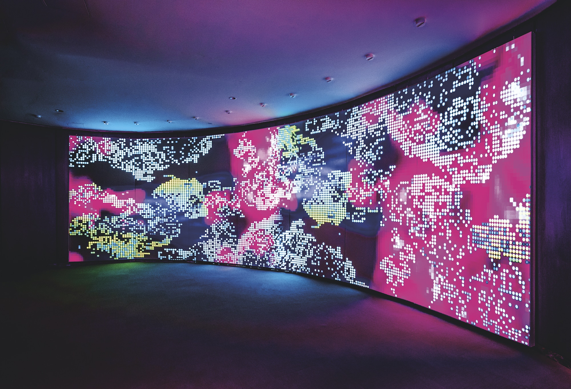 Blue Dreams: Rebecca Rutstein and the Ocean Memory Project