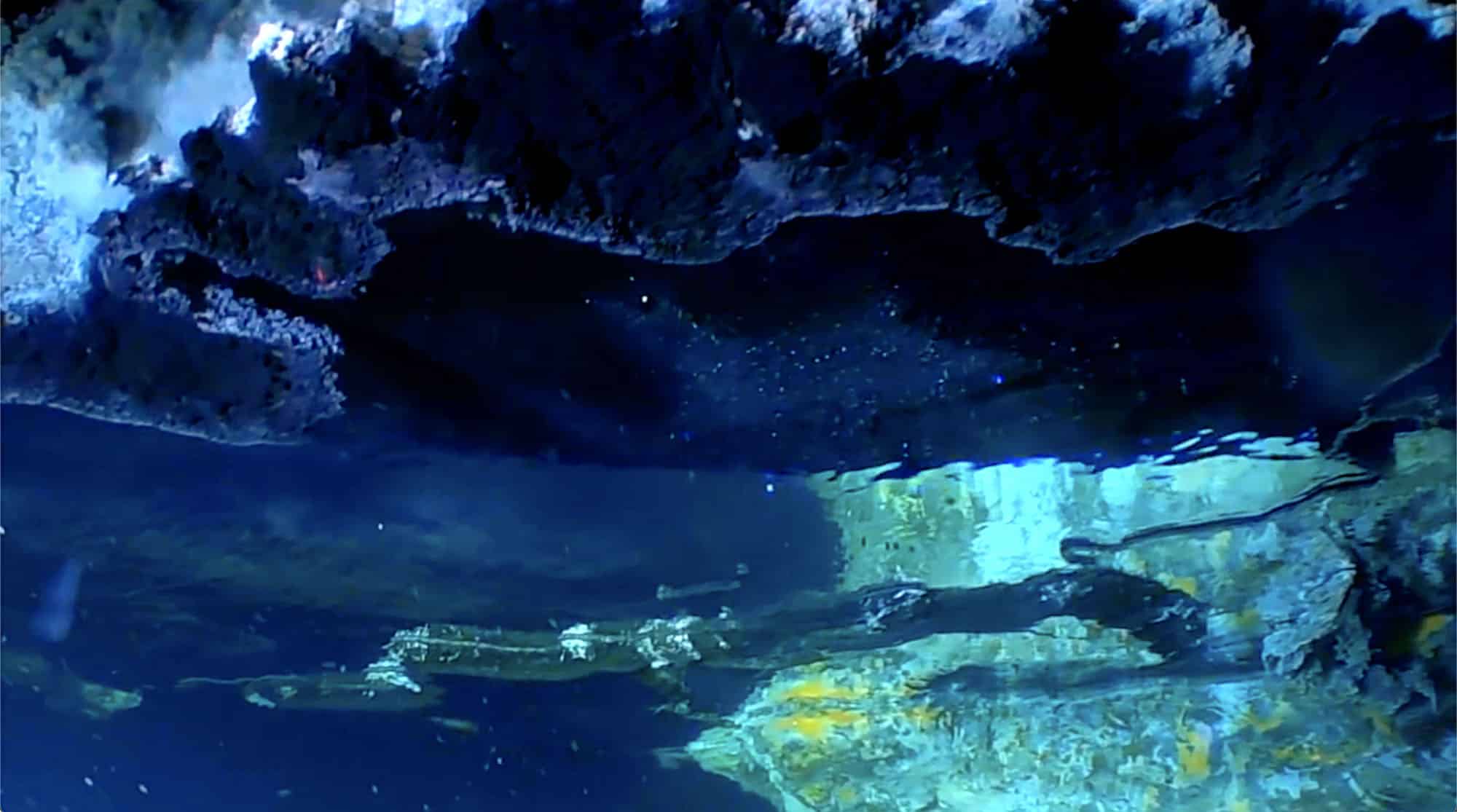 Blue Dreams: Rebecca Rutstein and the Ocean Memory Project