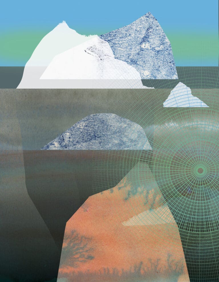 Issues in Science and Technology