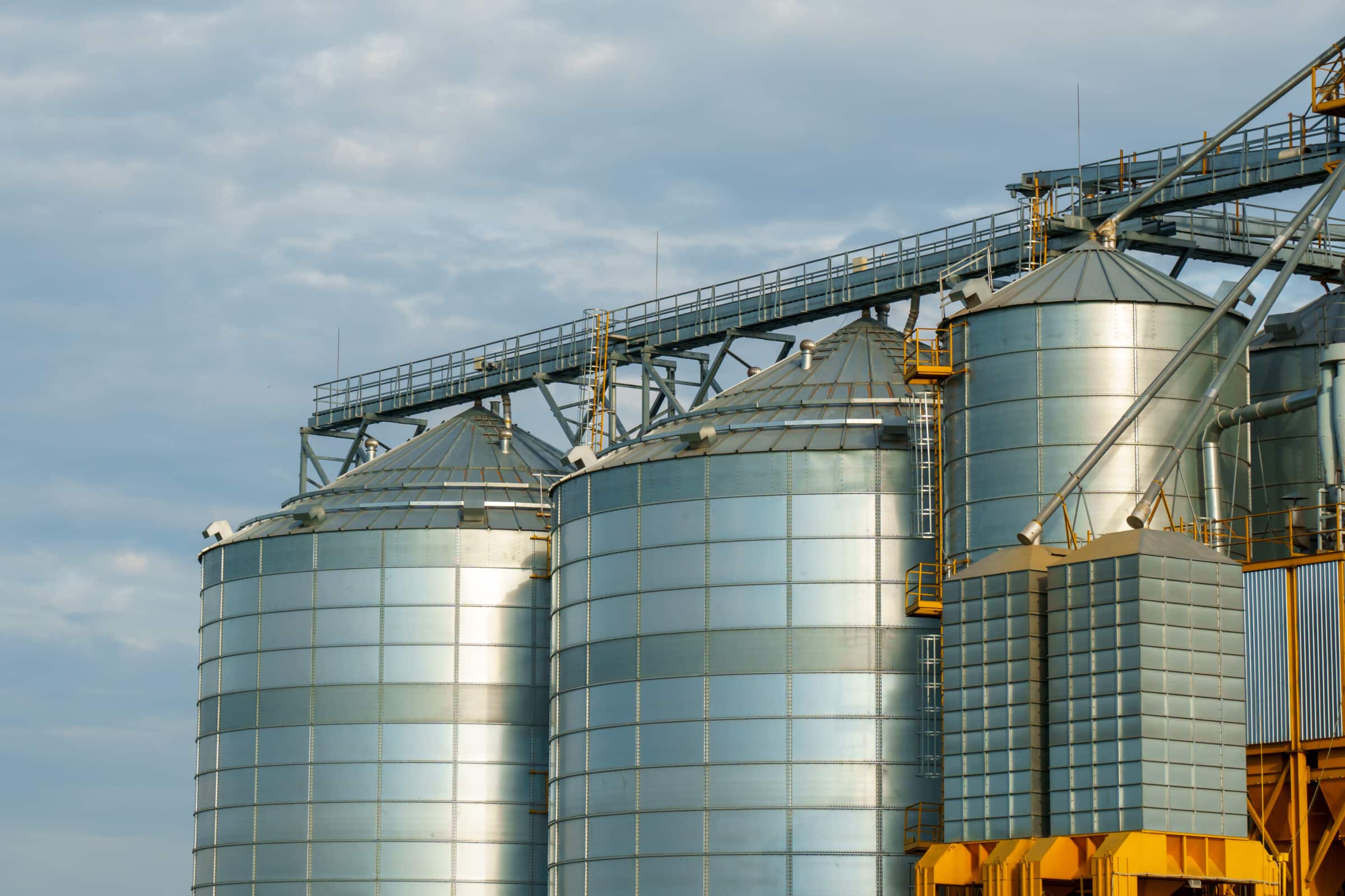 To Build a Biorubber Industry on the Prairie