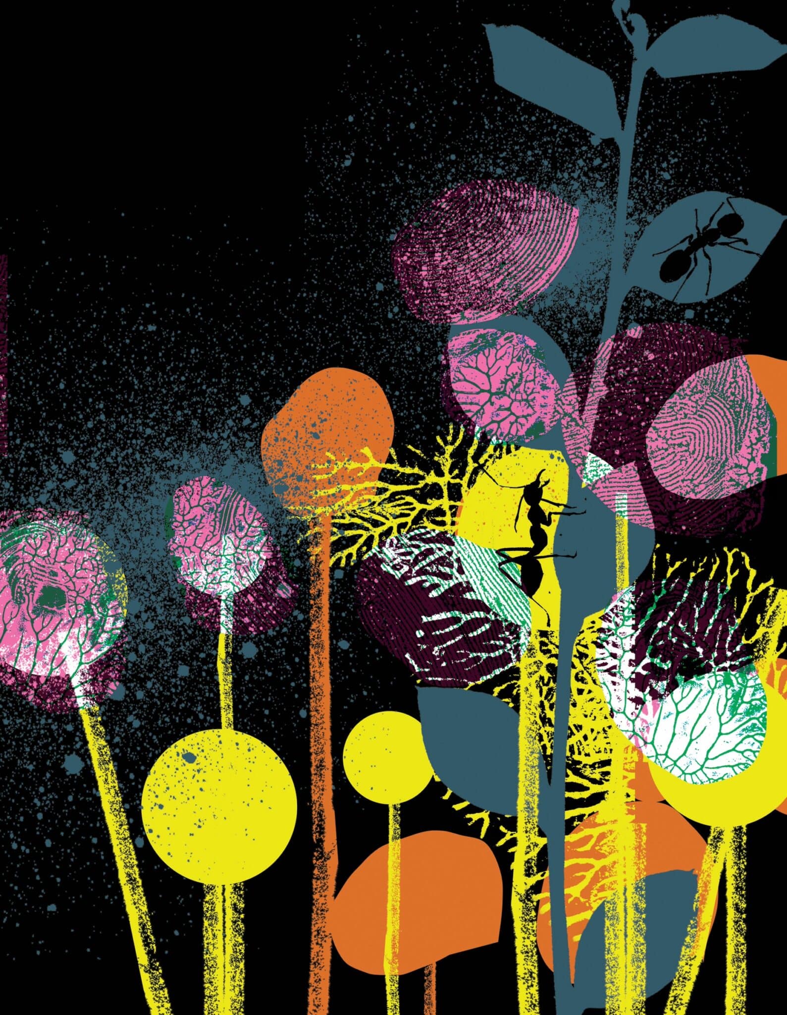 The Ants | Poem by Matthew Rohrer